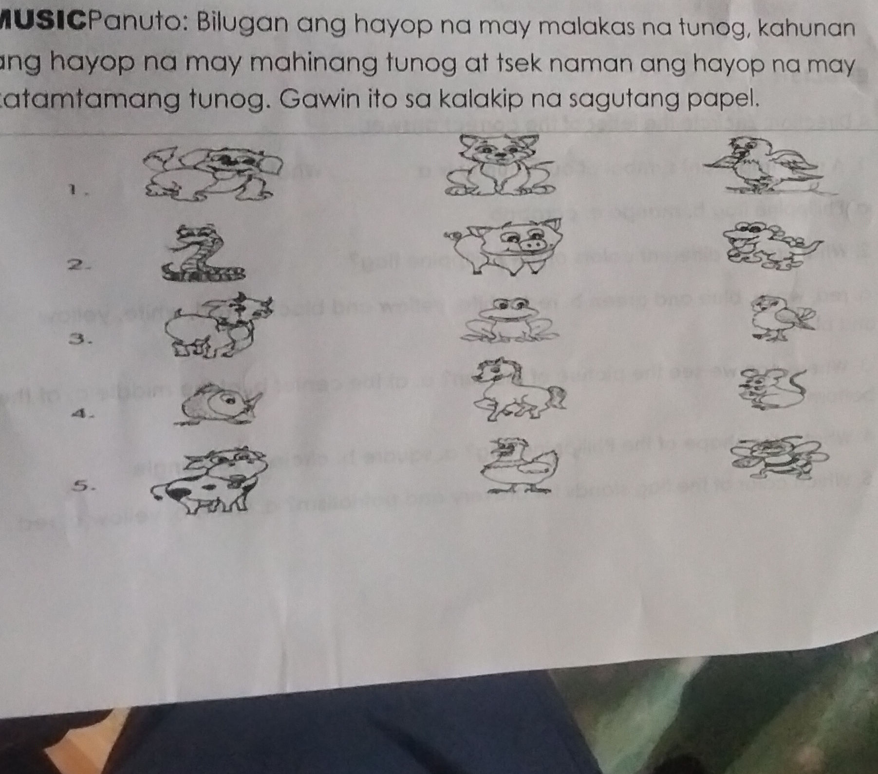 Panuto Bilugan ang hayop na may malakas na | StudyX