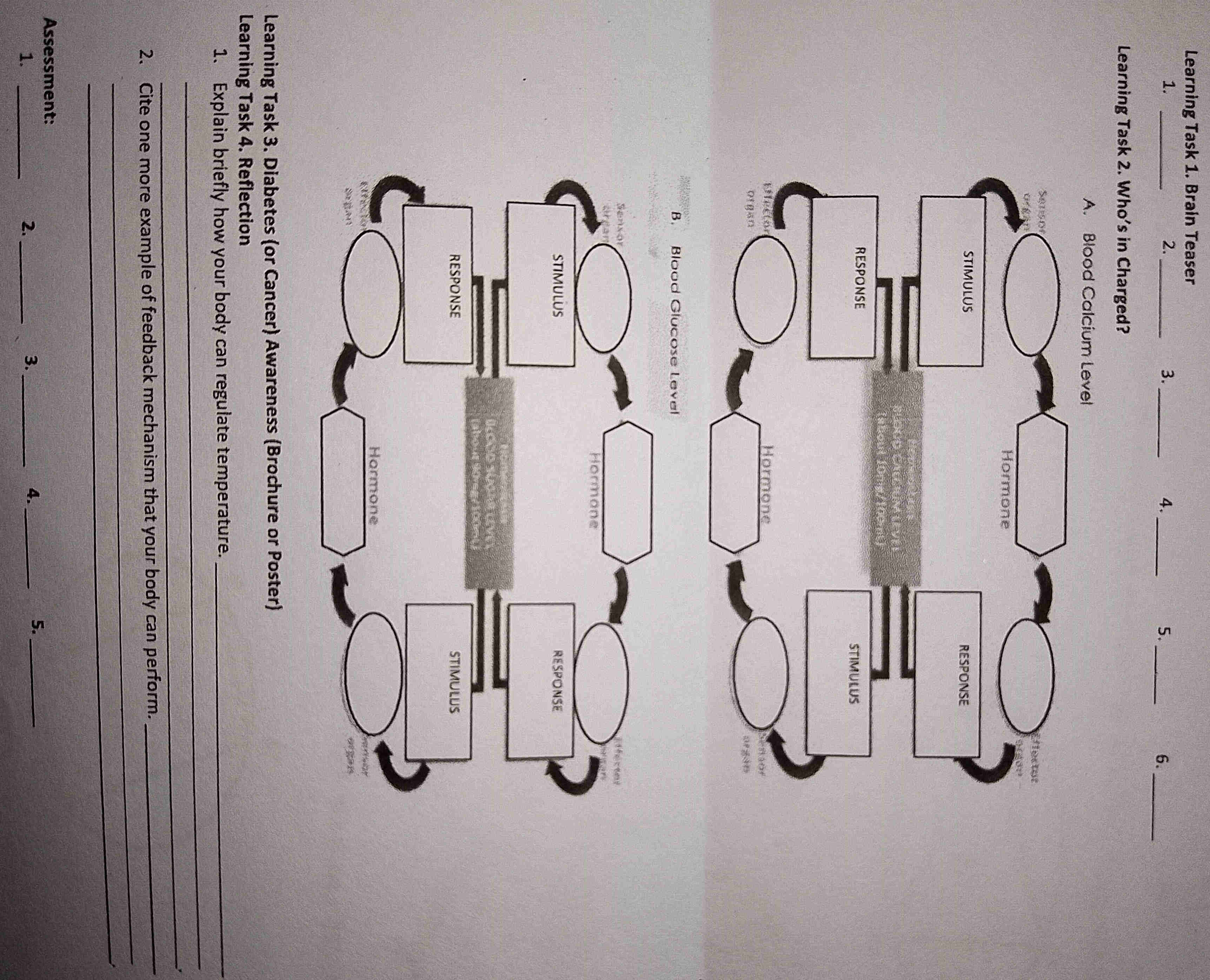 Learning Task 1 Brain Teaser 1 2 Learning | StudyX