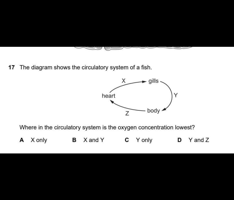 17 The diagram shows the circulatory system | StudyX