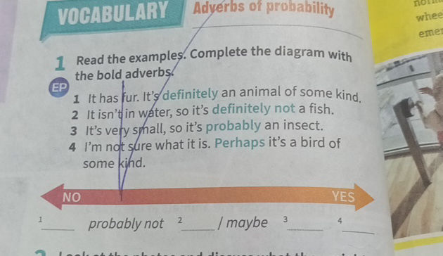 VOCABULARY Adyrbs of probability 1 Read the | StudyX