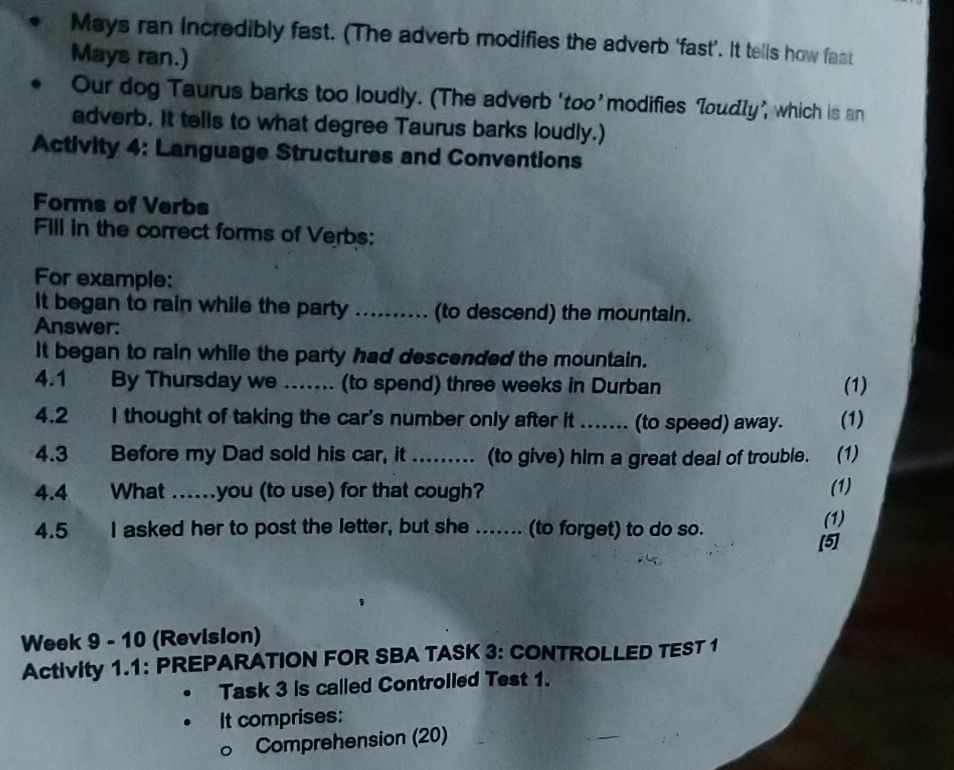 Forms of Verbs Fill in the correct forms of | StudyX