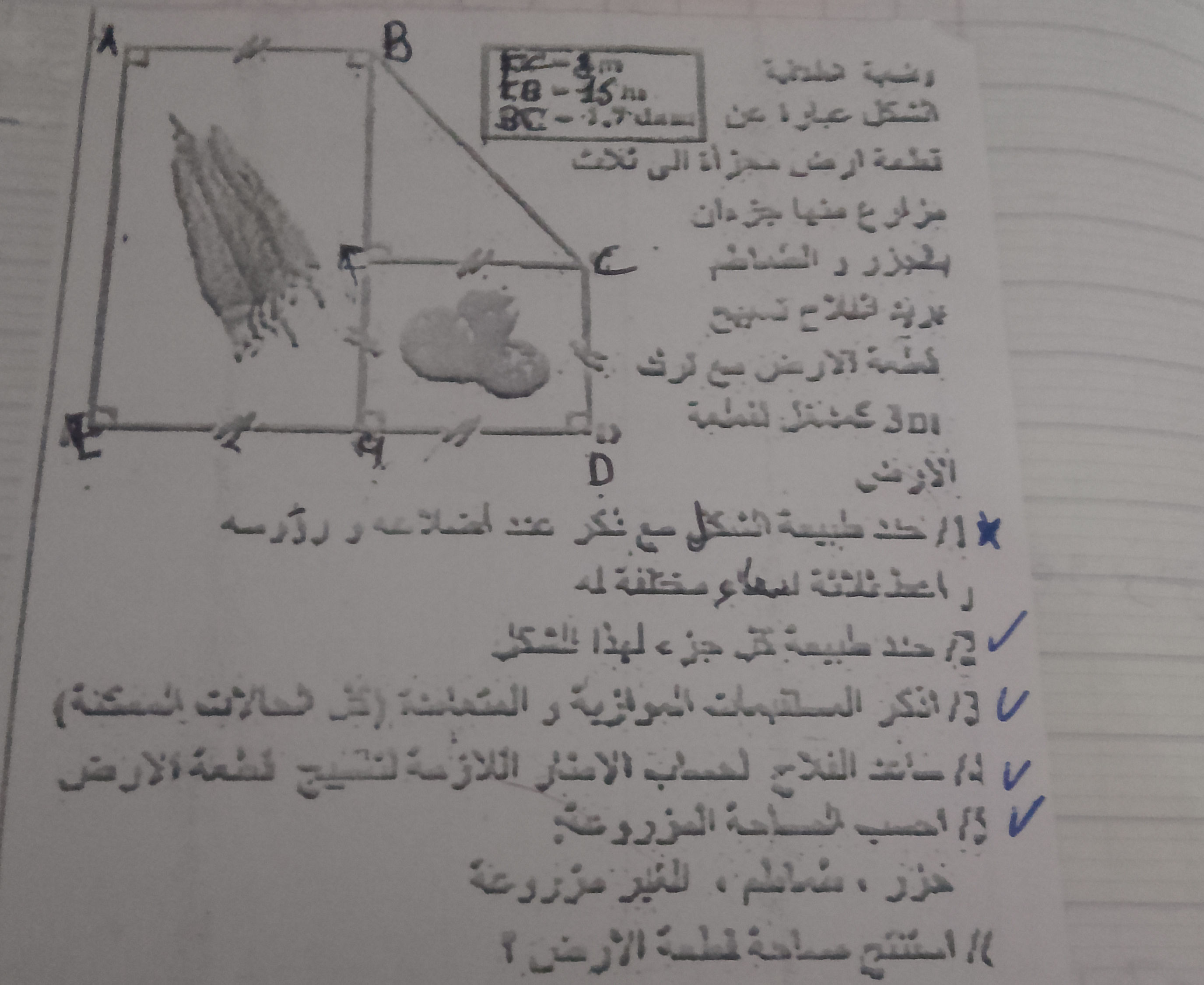 B m tB-15 ha BC-17 | StudyX
