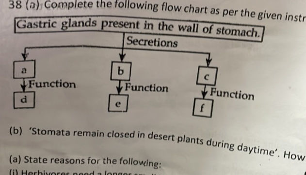 38 (a) Complete the following flow chart as | StudyX