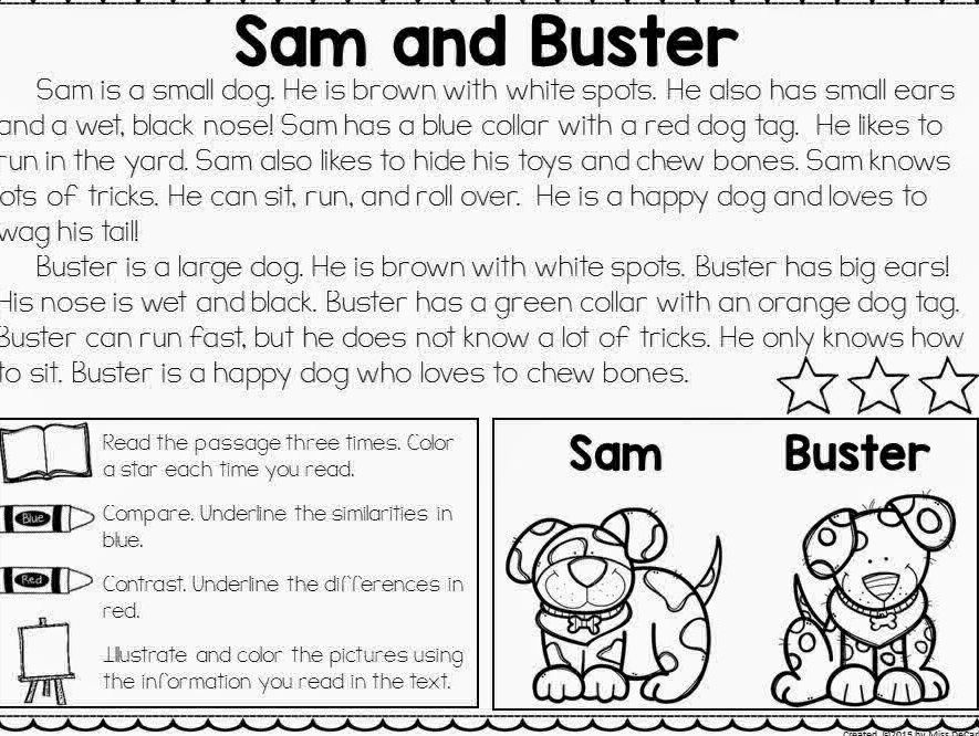 Sam and Buster Sam is a small dog He is | StudyX