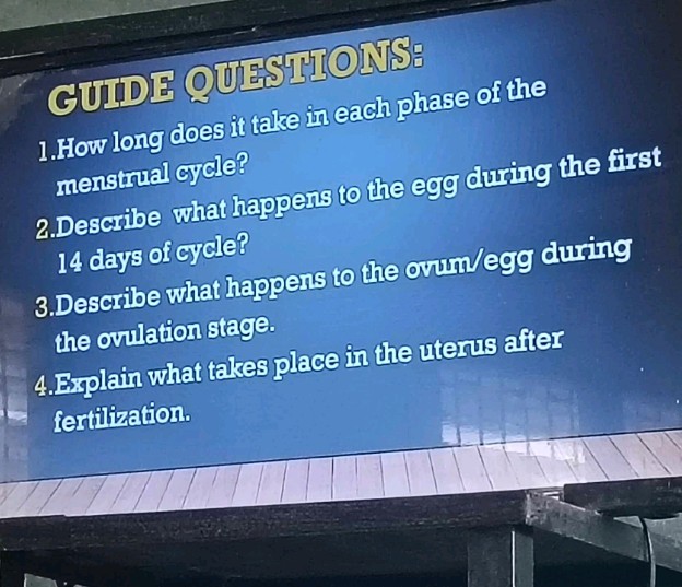 GUIDE QUESTIONS 1How long does it take in | StudyX