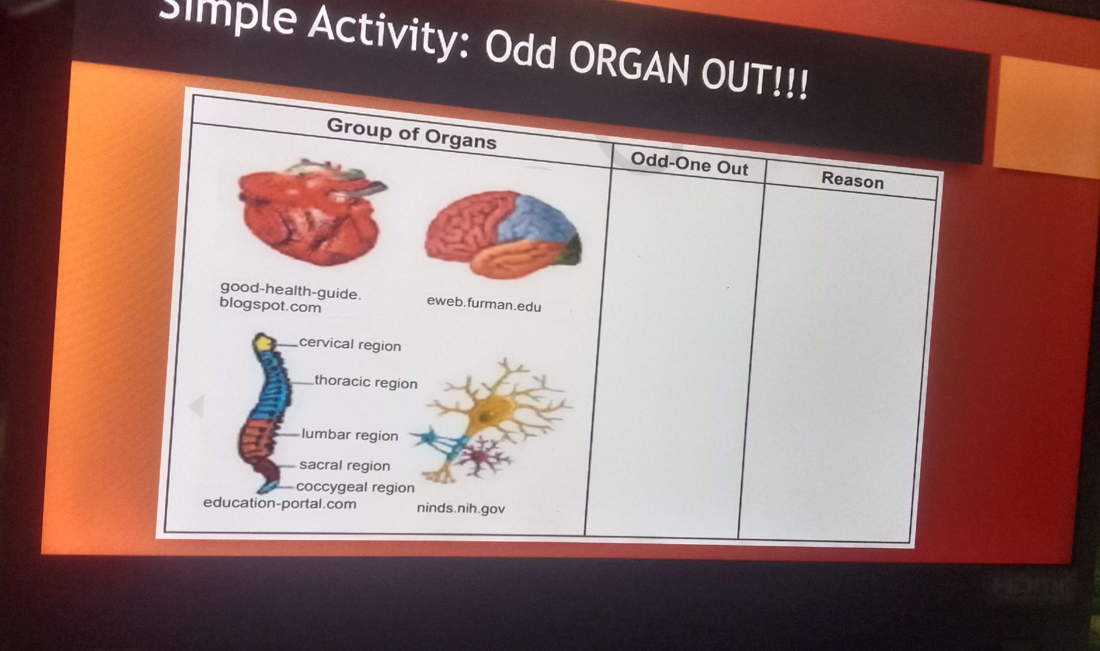 Simple Activity Odd ORGAN OUT Group of | StudyX