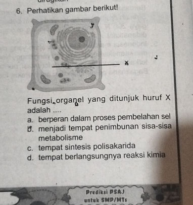 6 Perhatikan gambar berikut Fungsi organel | StudyX