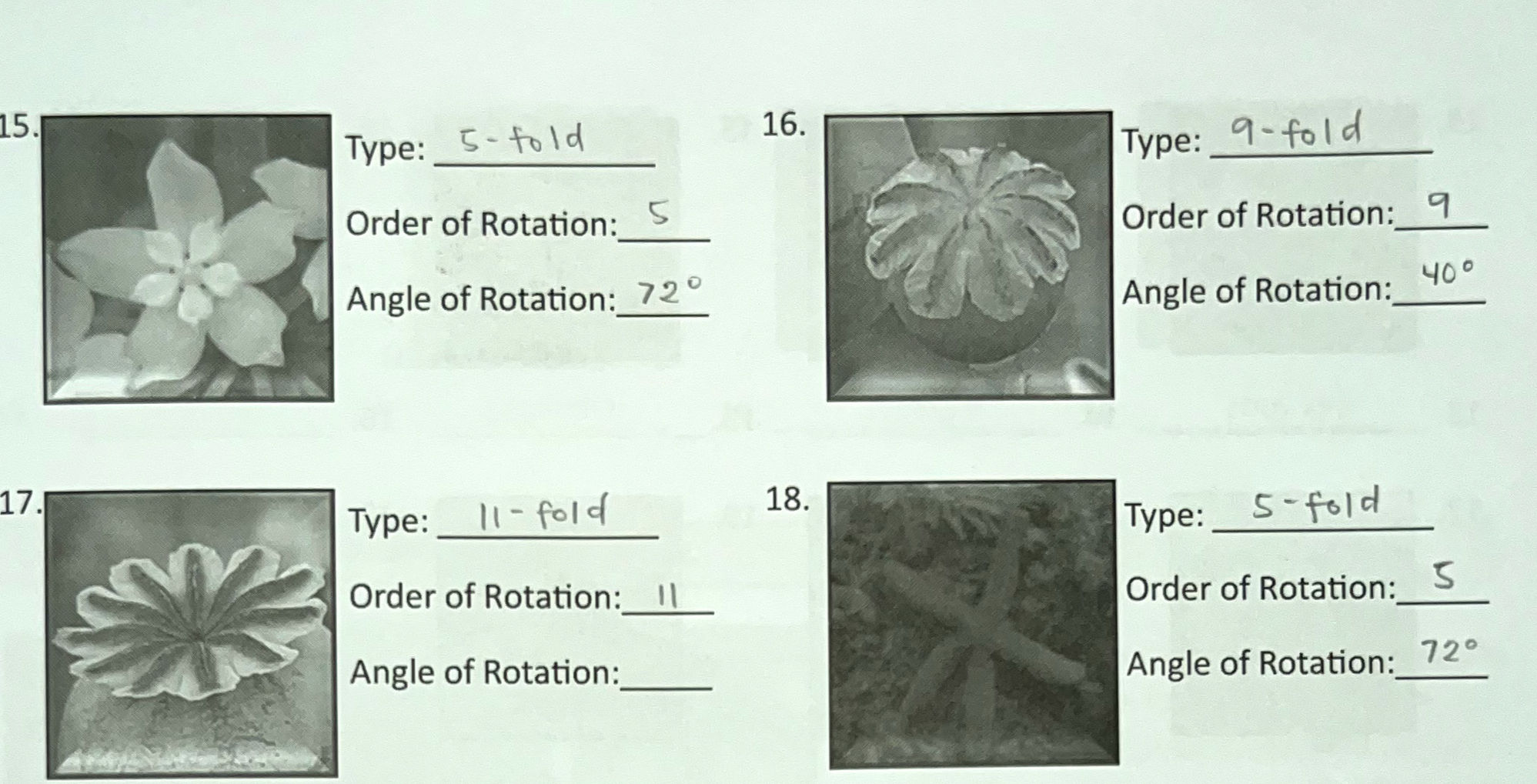 15Type 5-fold Order of Rotation 5 Angle of | StudyX