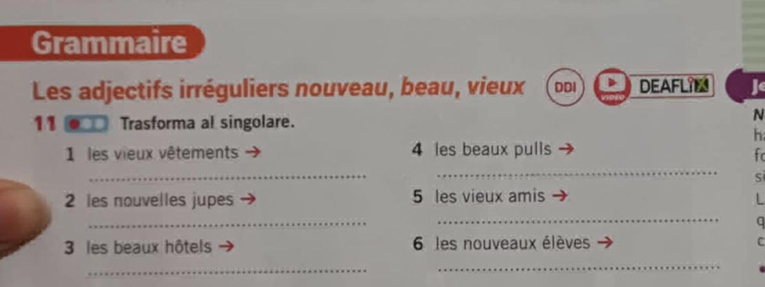GrammaireLes adjectifs irrguliers nouveau | StudyX