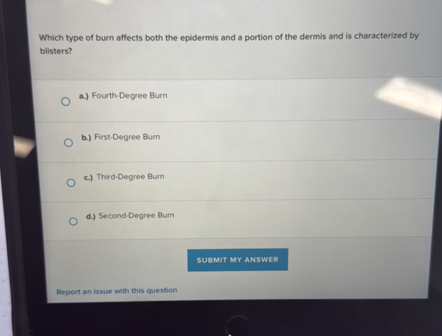 Which type of burn affects both the | StudyX