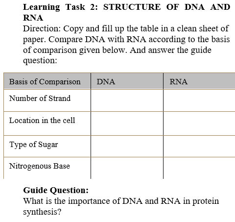 Learning Task 2 STRUCTURE OF DNA AND RNA | StudyX