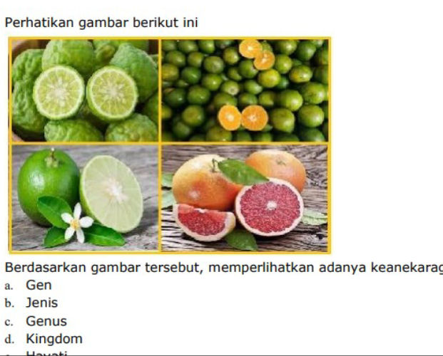 Perhatikan gambar berikut ini Berdasarkan | StudyX