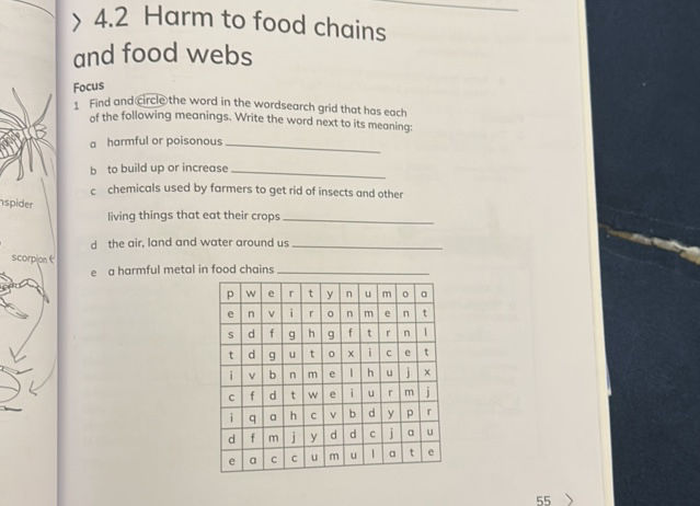 42 Harm to food chains and food webs Focus 1 | StudyX