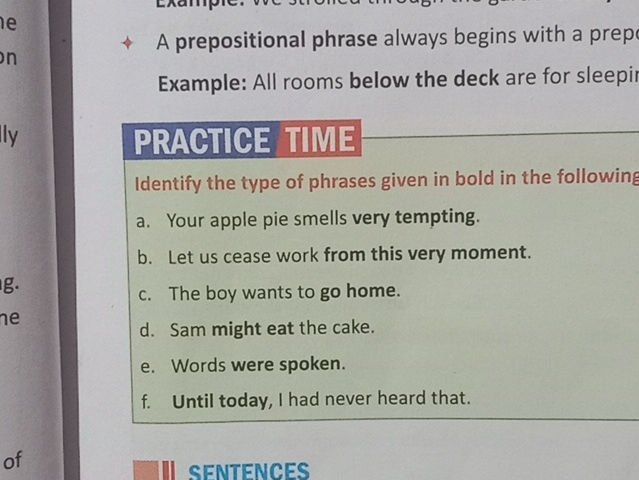 Identify the type of phrases given in bold | StudyX