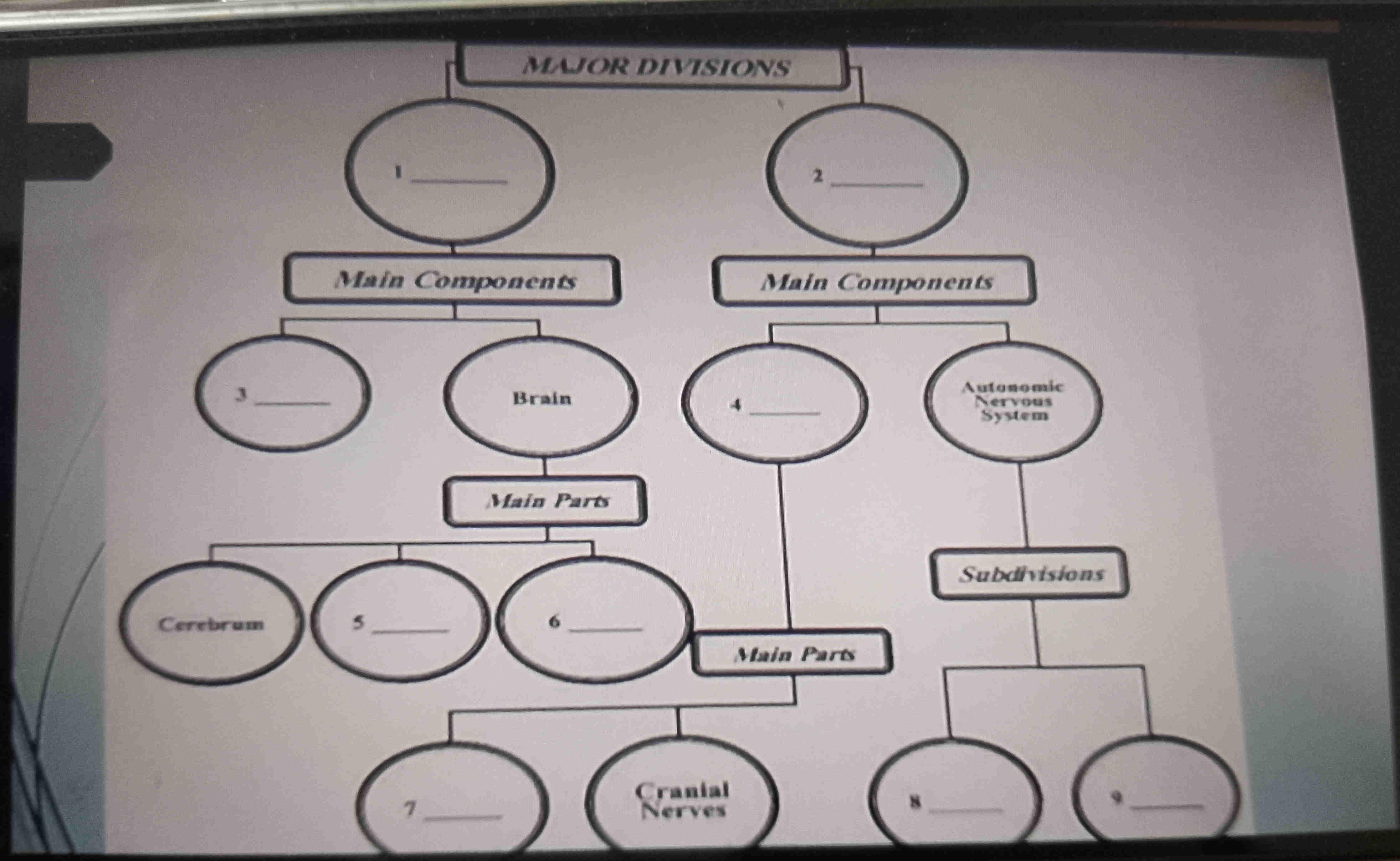 MAJOR DIVISIONS 1 2 Main Components Main | StudyX