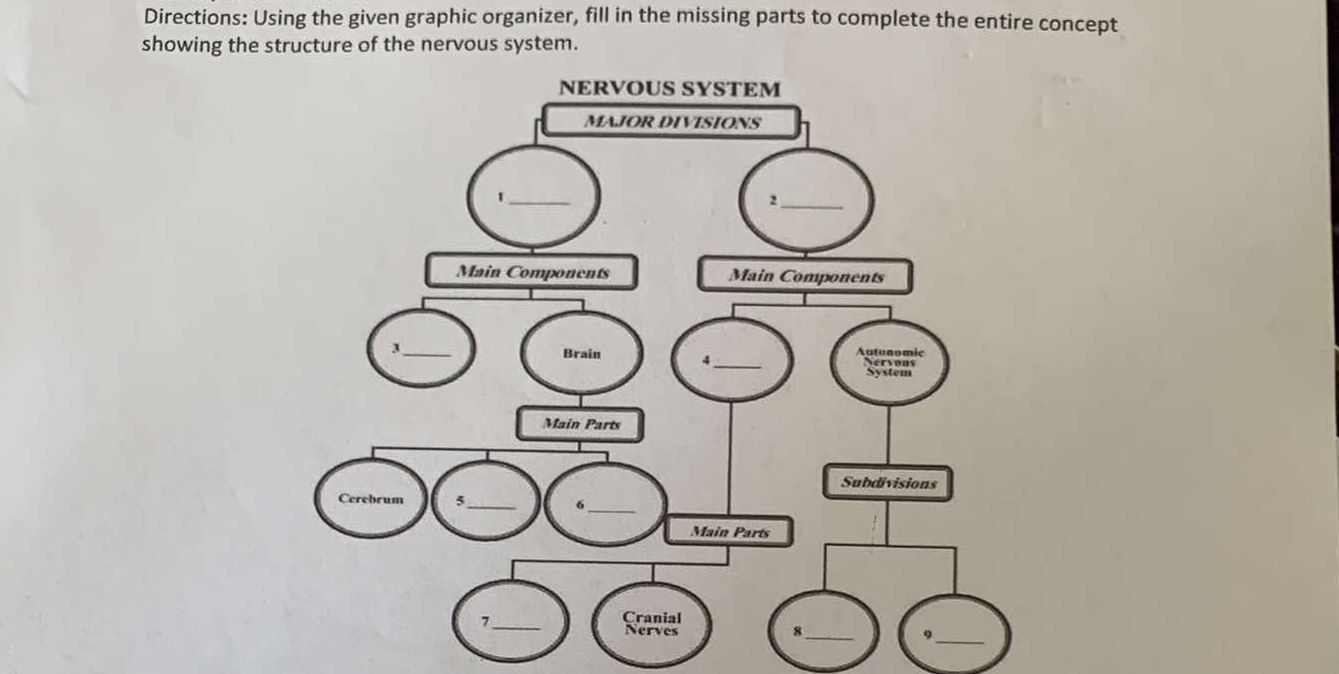 Directions Using the given graphic organizer | StudyX