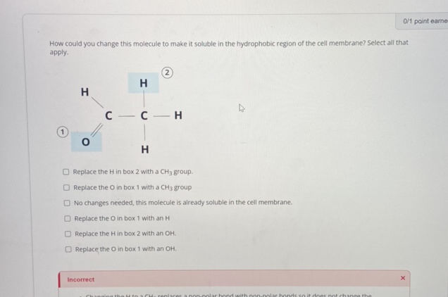 How could you change this molecule to make | StudyX