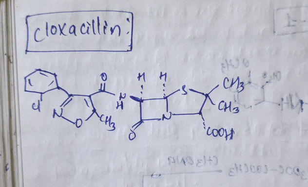 Cloxacillin ( c The image contains a | StudyX