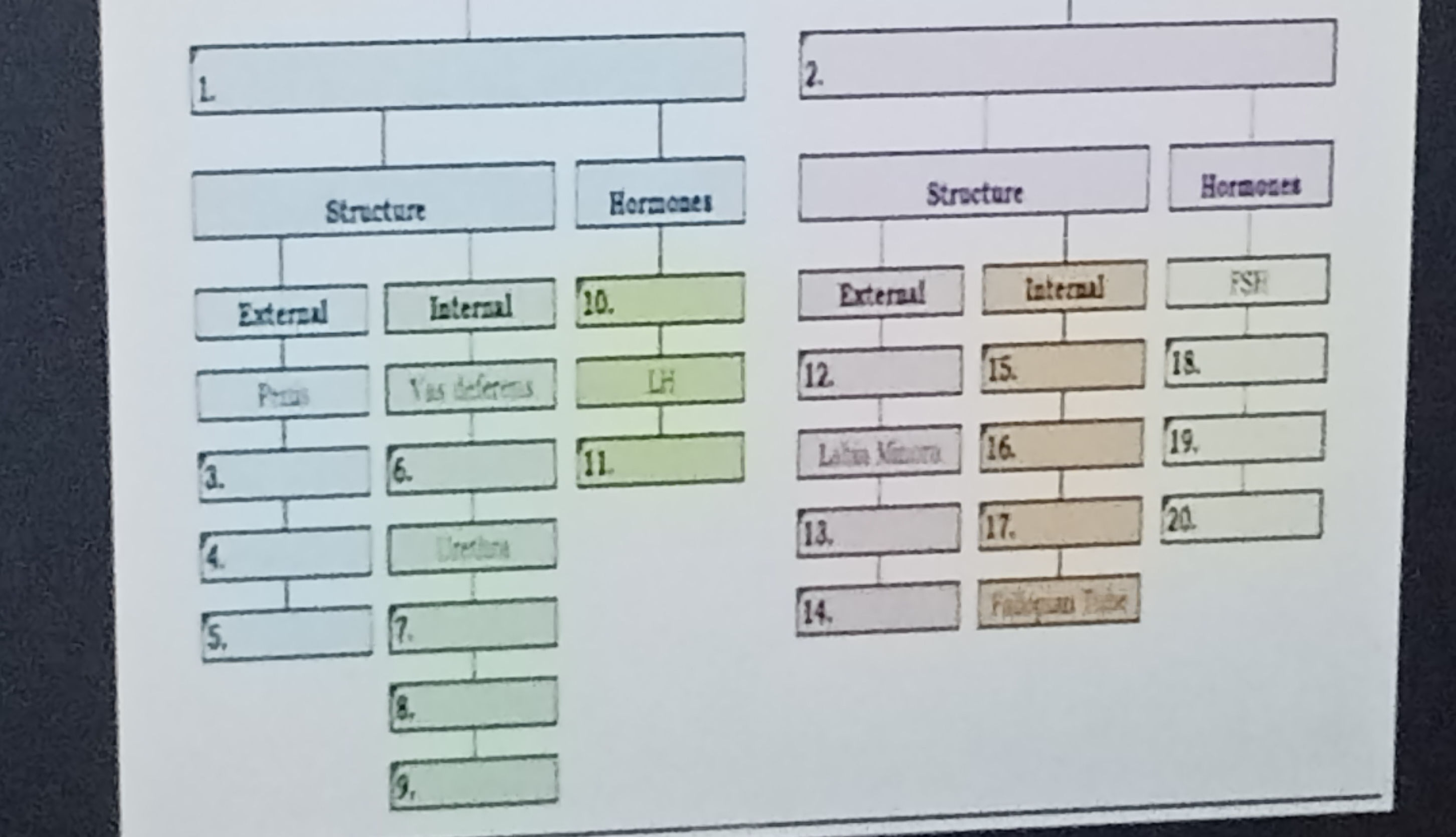 L 2 Structure Hormones Structure Hormones | StudyX