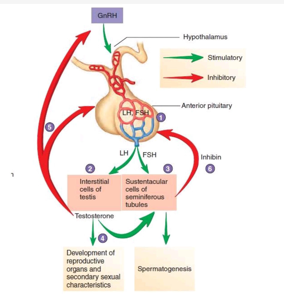 The image contains a diagram showing the | StudyX