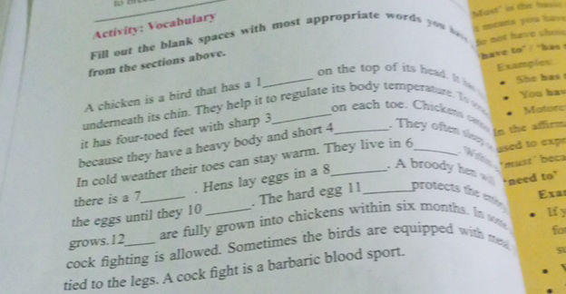 Activity Vocabulary Fill out the blank | StudyX