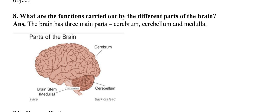 8 What are the functions carried out by the | StudyX