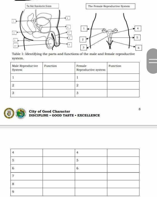 Table 1 Identifying the parts and functions | StudyX