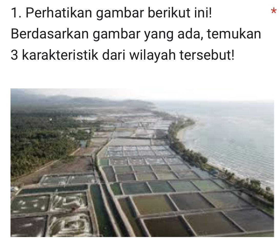 1 Perhatikan gambar berikut ini Berdasarkan | StudyX