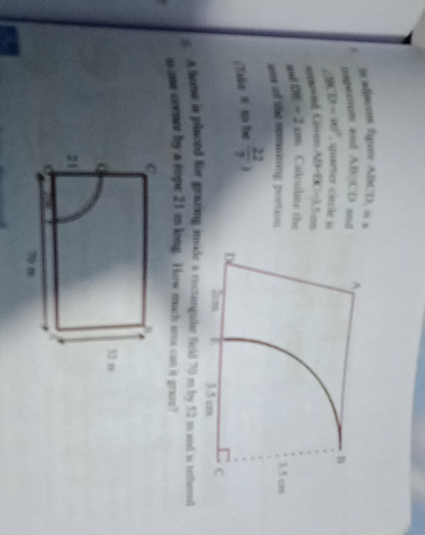 In adjacent figure ABCD is a trapezium and | StudyX