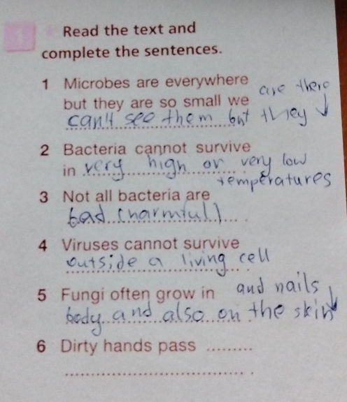 Read the text and complete the sentences 1 | StudyX