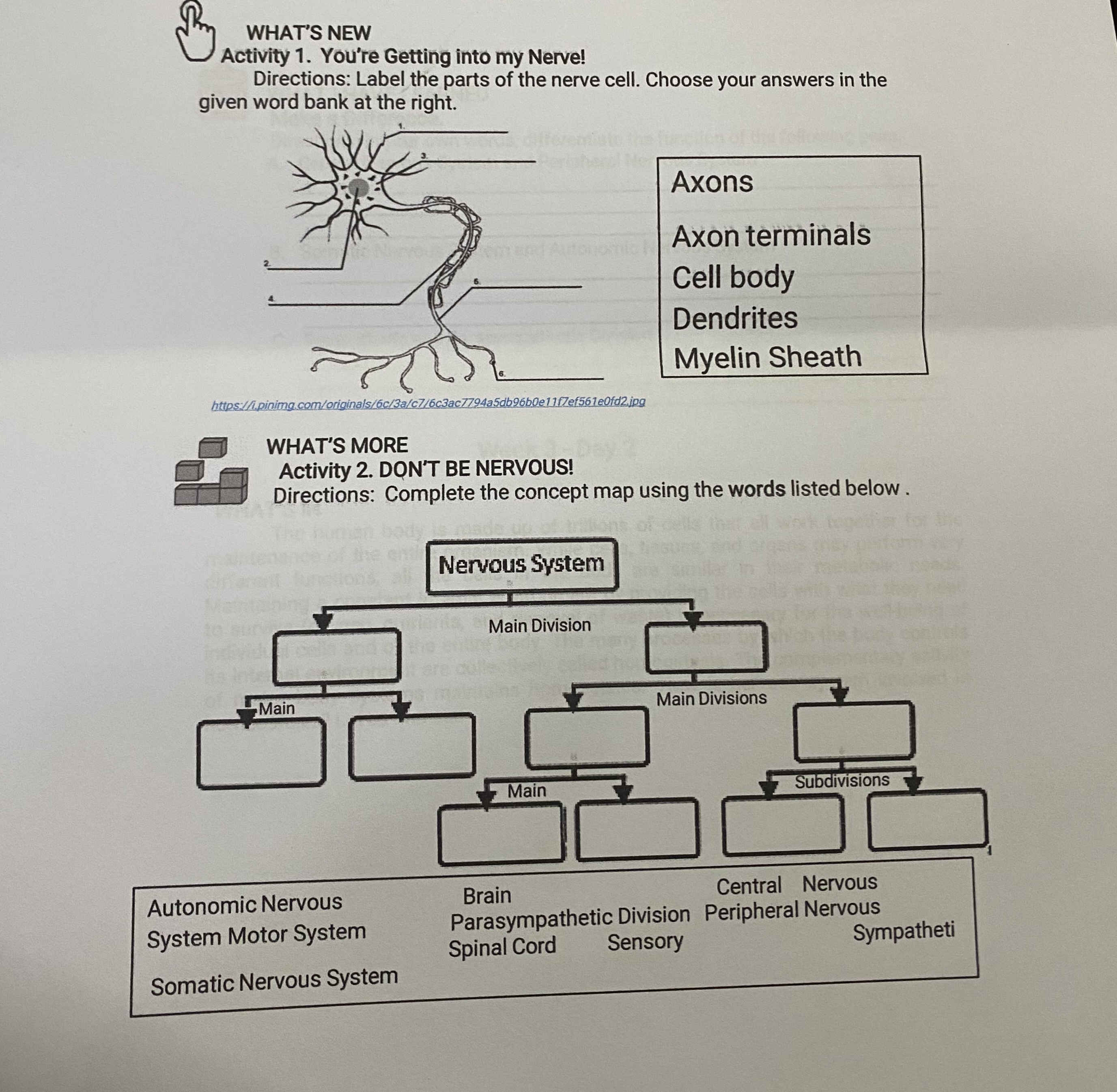 WHATS NEW Activity 1 Youre Getting into my | StudyX