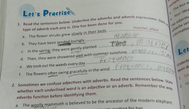 1 Read the sentences below Underline the | StudyX