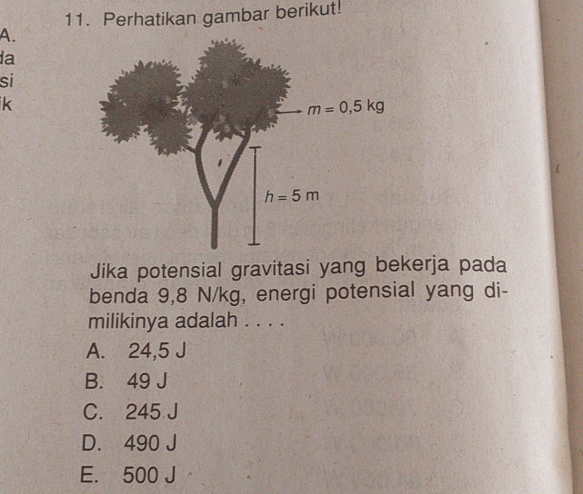 11 Perhatikan gambar berikut image(imagepng) | StudyX