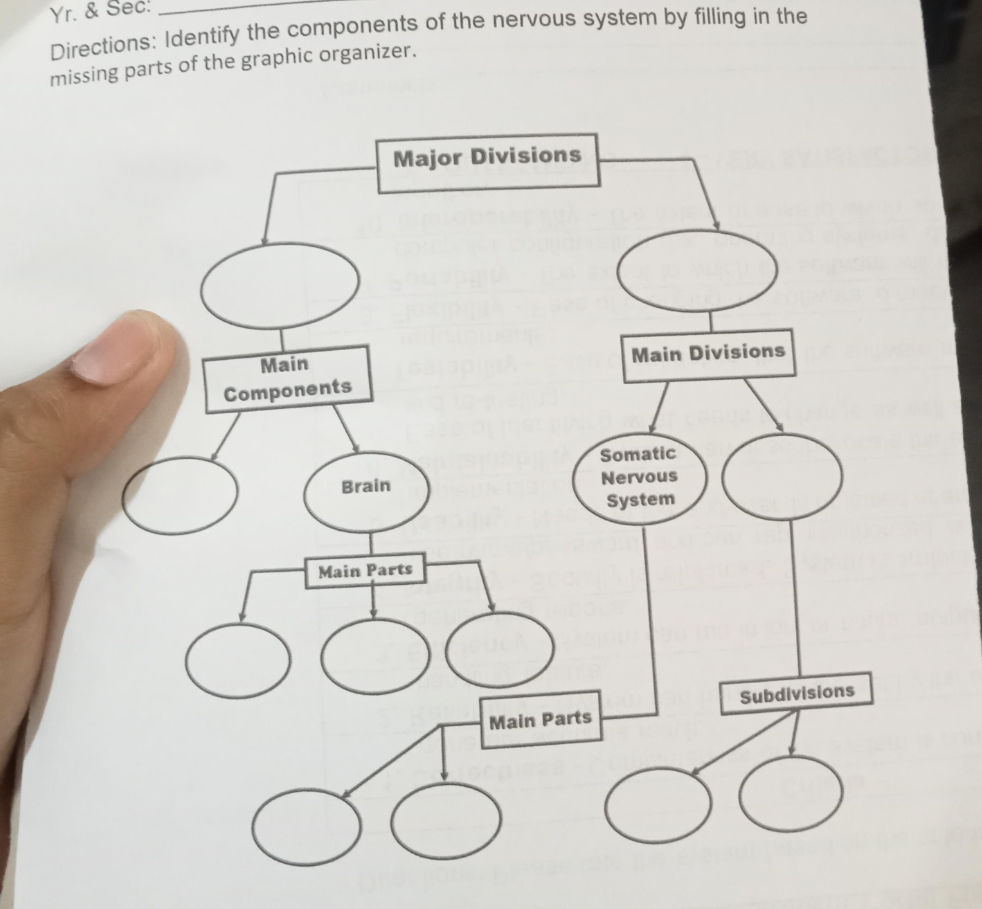 Directions Identify the components of the | StudyX