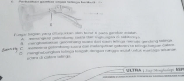 6 Perhatikan gambar organ telinga berikut X | StudyX