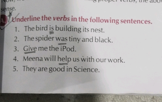 Underline the verbs in the following | StudyX