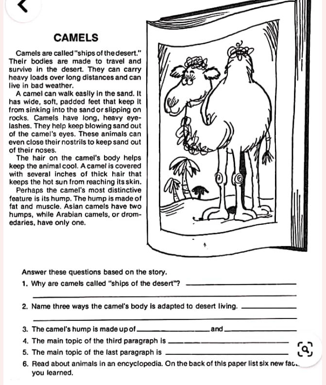 CAMELS Camels are called ships of the desert | StudyX