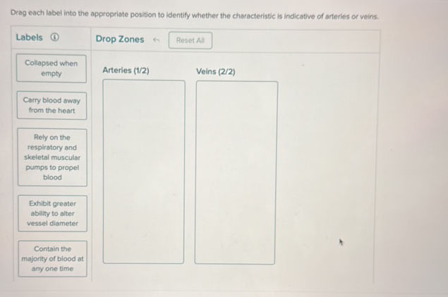 Drag each label into the appropriate | StudyX
