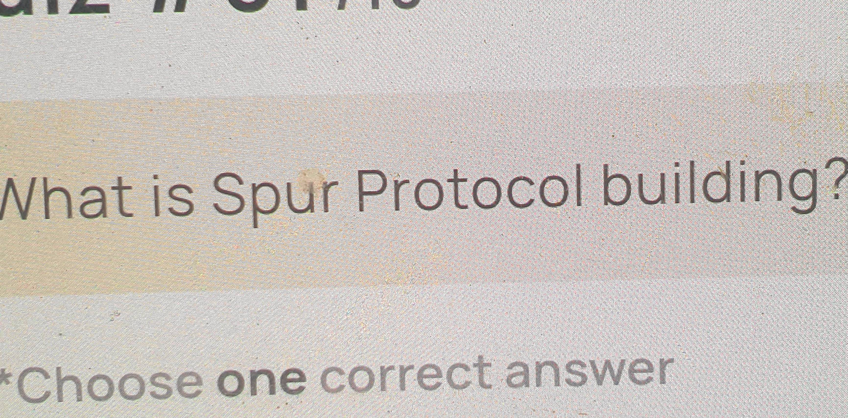 What is Spur Protocol building Choose one
