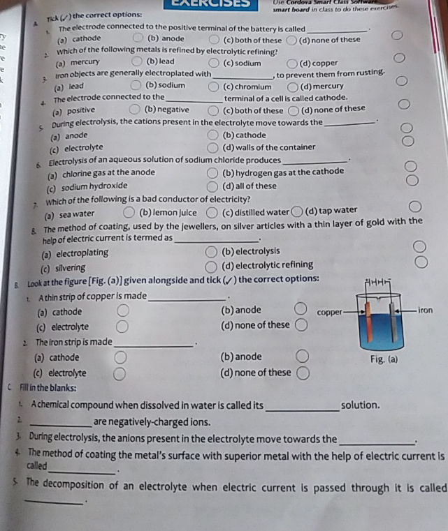 Tick(/) the correct options 1 The electrode | StudyX