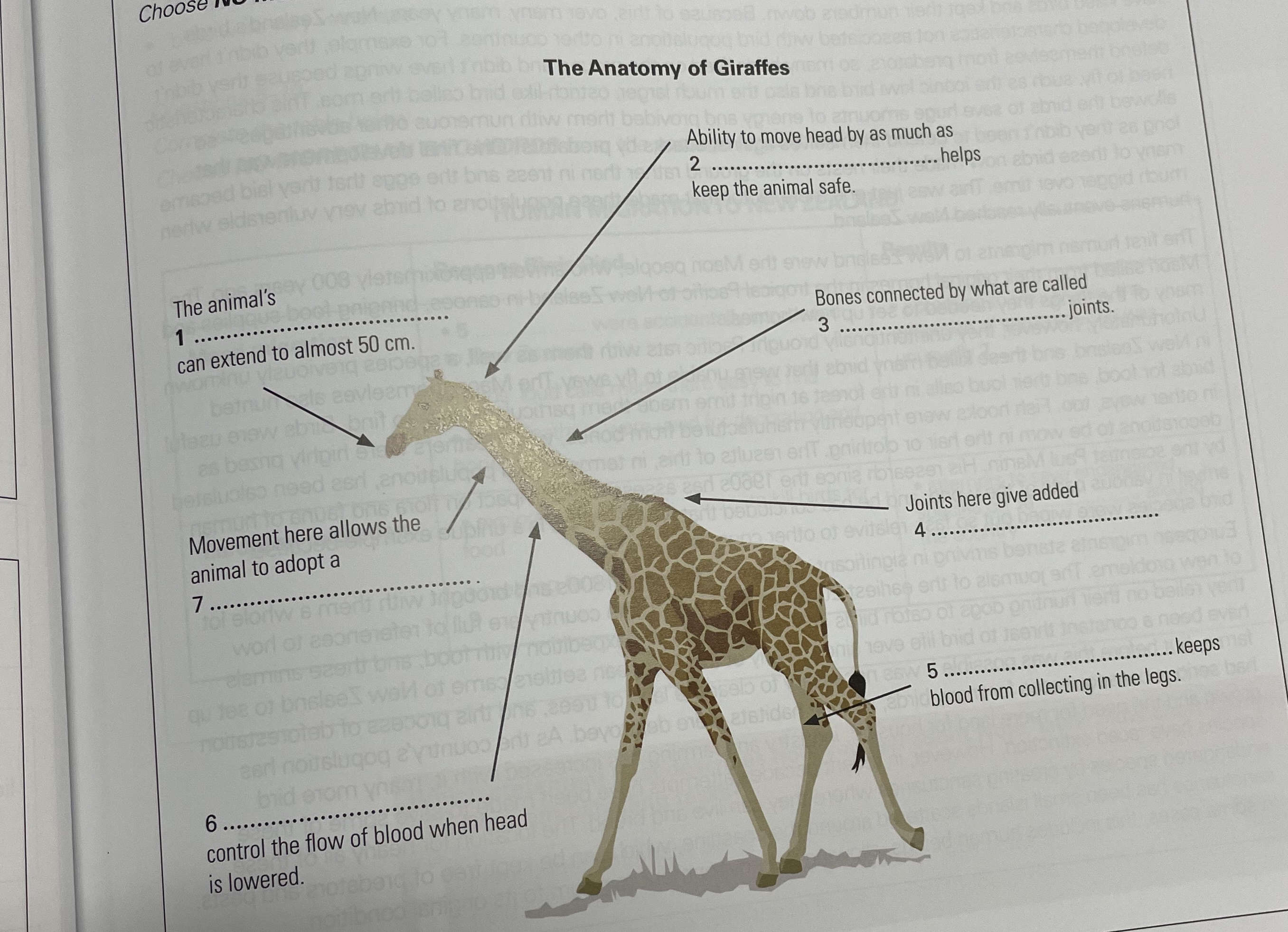 Choos The animals 1 can extend to almost 50 | StudyX