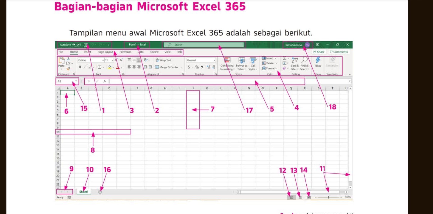 Bagian-bagian Microsoft Excel 365 Tampilan | StudyX