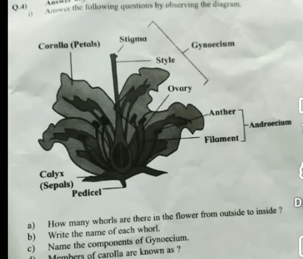 Answer the following questions by observing | StudyX