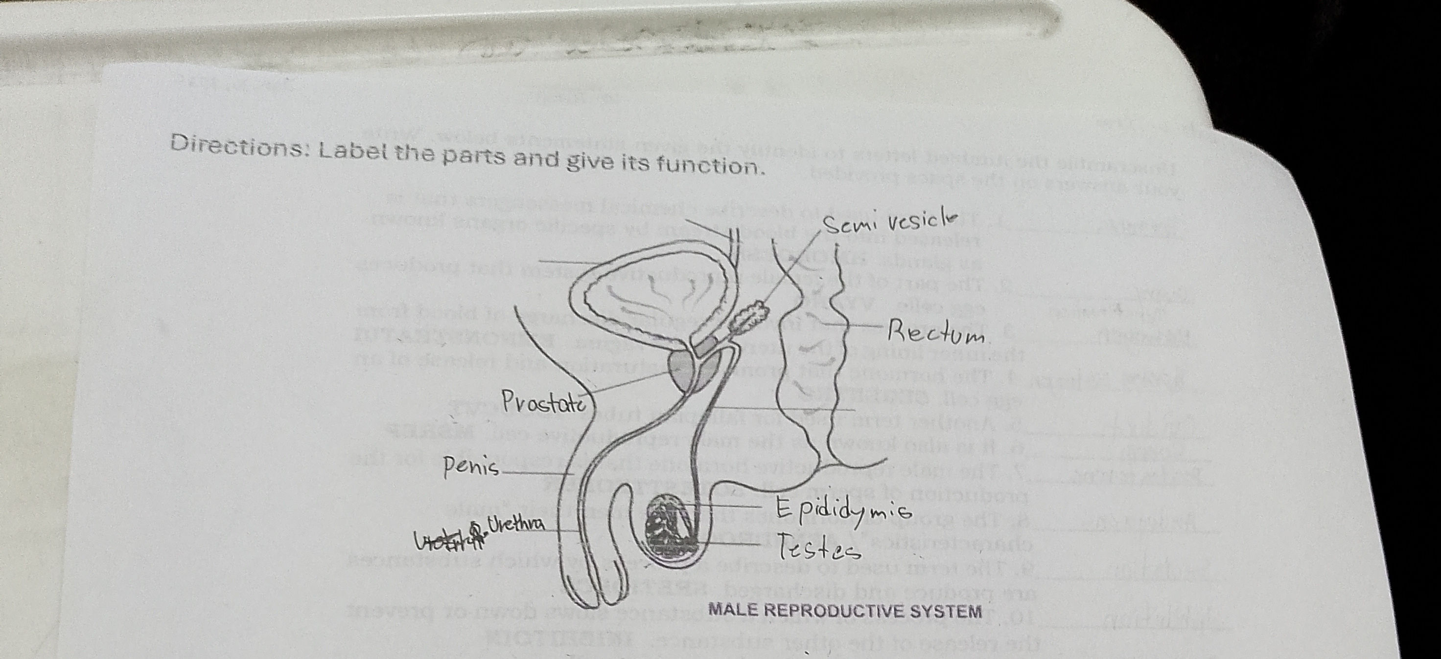 Directions Label the parts and give its | StudyX