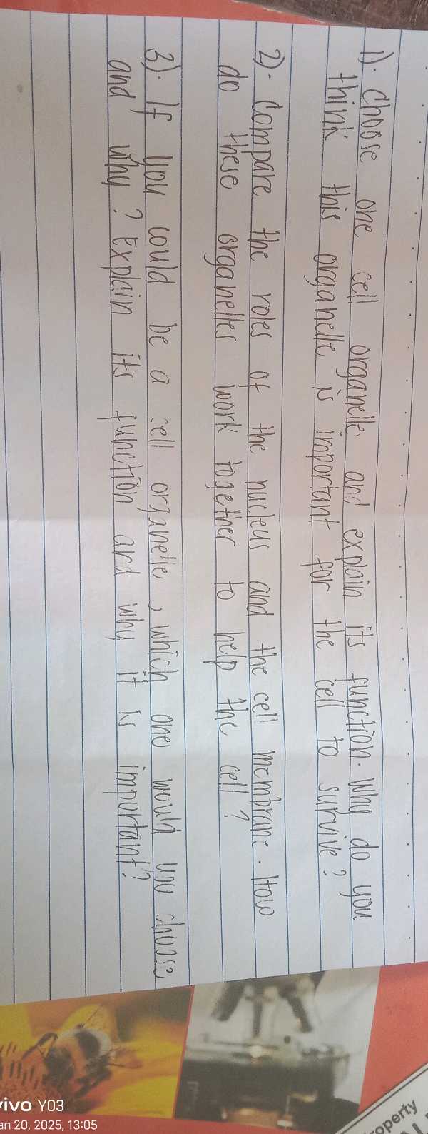 1) Choose one cell organelle and explain its | StudyX