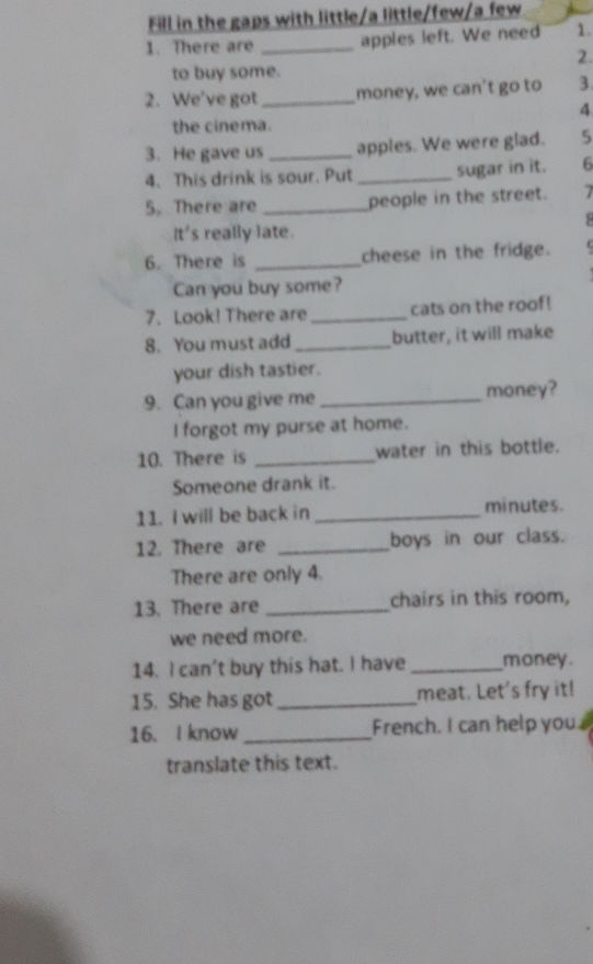 Fill in the gaps with little/a little/few/a | StudyX