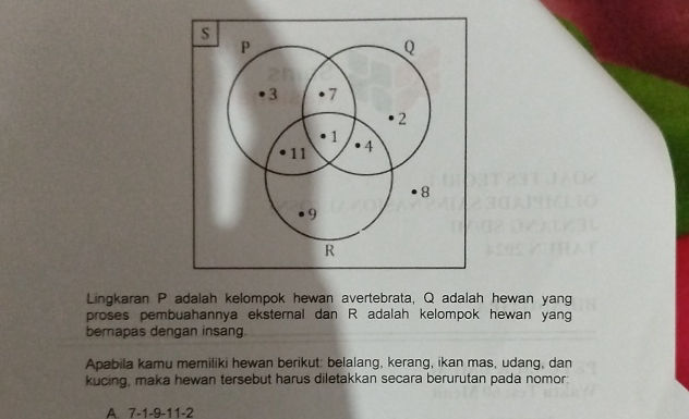 Lingkaran P adalah kelompok hewan