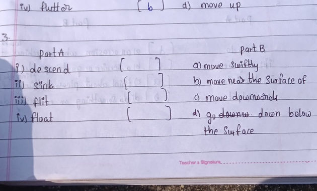 iv) flutter (b) d) move up 3 Part A i) | StudyX
