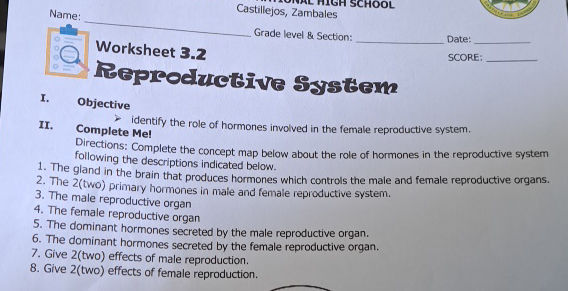 Worksheet 32 Reproductive System I Objective