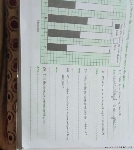 219 Observe the following diagram and answer | StudyX